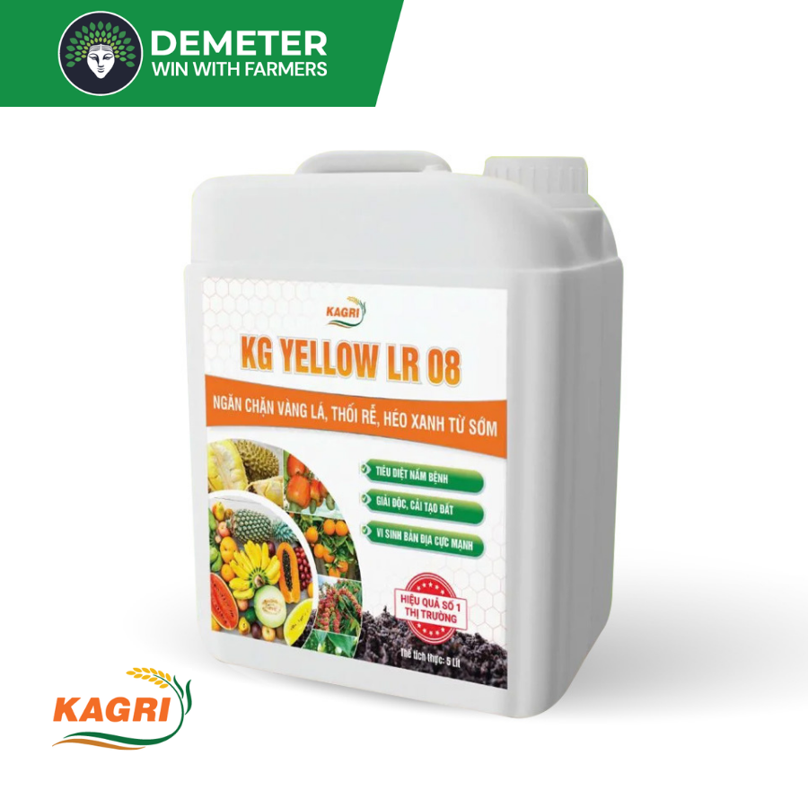 KG Yellow LR 08 (5 lít)