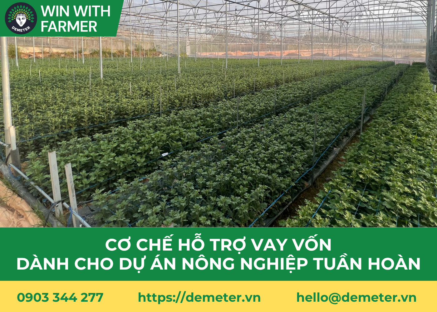 DEMETER - CƠ CHẾ HỖ TRỢ VỐN PHÁT TRIỂN DÀNH CHO MÔ HÌNH NÔNG NGHIỆP ...